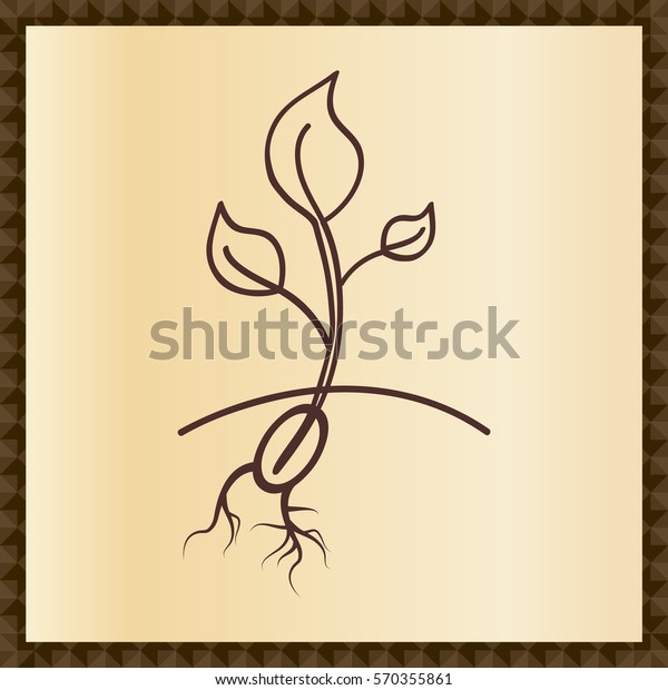 Seedling Stem Root Contour Line Logo Stock Vector (Royalty Free) 570355861