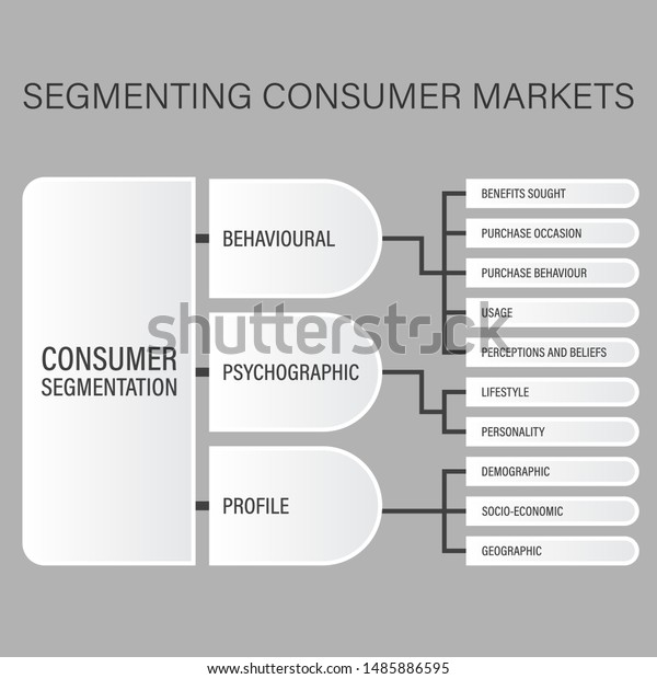 Segmenting Consumer Markets Infographic Scm Stock Vector (Royalty Free ...