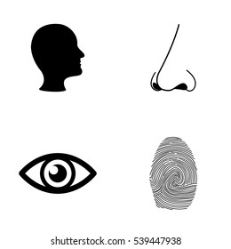 Sense Organs Icons Vector Set Stock Vector (Royalty Free) 539447938 ...