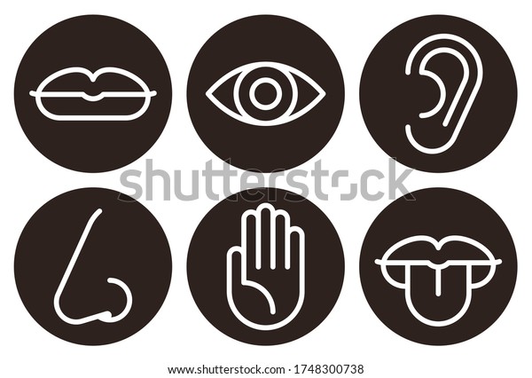 Vektor Stok Sensory Organs Icon Set Isolated On (Tanpa Royalti ...