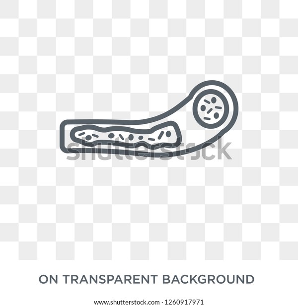 Sepsis Icon Trendy Flat Vector Sepsis Stock Vector (Royalty Free ...