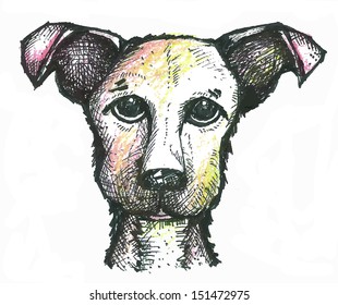 Serious Looking Dog Face Stock Vector (Royalty Free) 151472975 ...