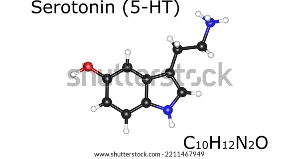 Serotonin Chemical Structure Molecular Formula Serotonin Stock Vector ...