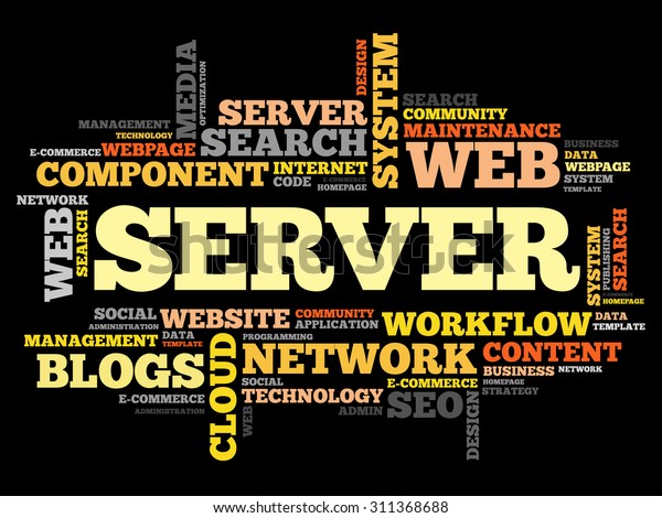 Server Word Cloud Business Concept Stock Vector (Royalty Free) 311368688