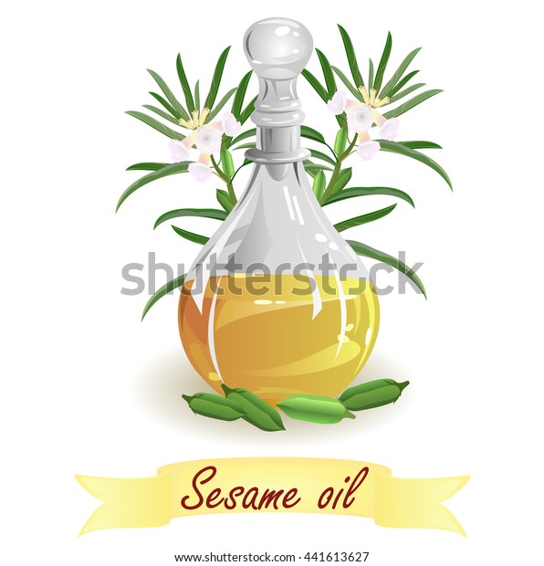 Sesame Oil Hand Drawn Vector Illustration Stock Vector (Royalty Free ...