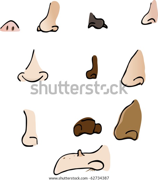 Set 11 Various Human Nose Body Stock Vector (Royalty Free) 62734387