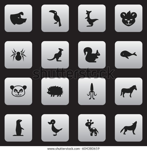 Set 16 Editable Zoo Icons Includes Stock Vector (Royalty Free) 604380659