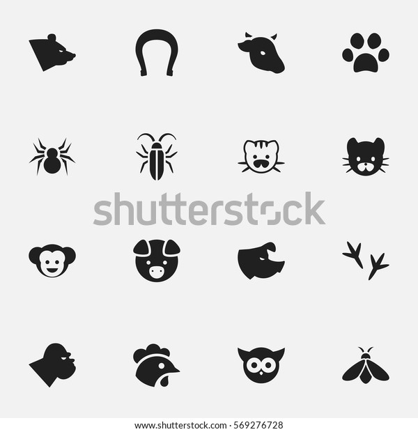 Set 16 Editable Zoology Icons Includes Stock Vector (Royalty Free ...