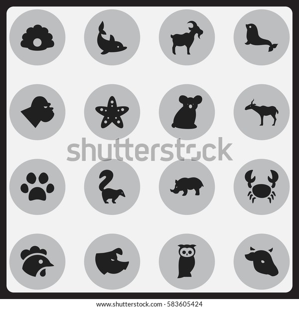 Set 16 Editable Zoology Icons Includes Stock Vector (Royalty Free ...