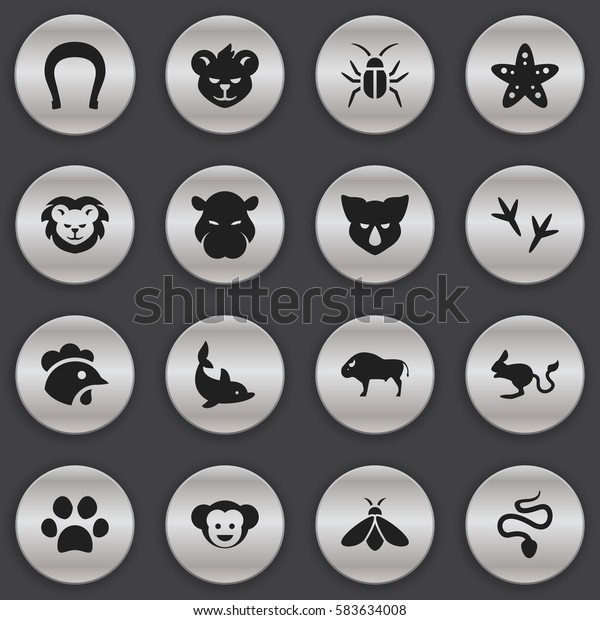 Set 16 Editable Zoology Icons Includes Stock Vector (Royalty Free ...