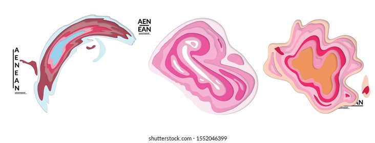 Transverse Cross Sectional View Female Reproductive Stock Photo (Edit ...