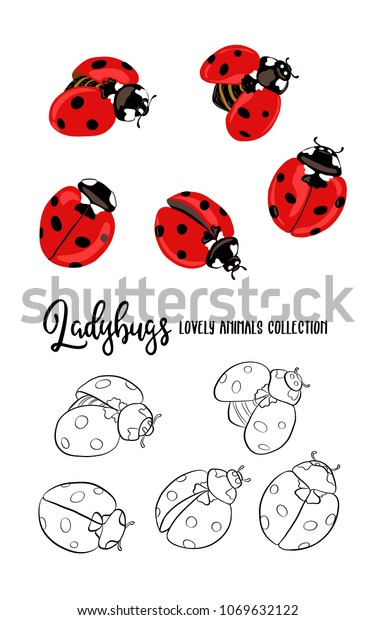 Set 5 Ladybugs Colored Outline Drawing Stock Vector (Royalty Free ...