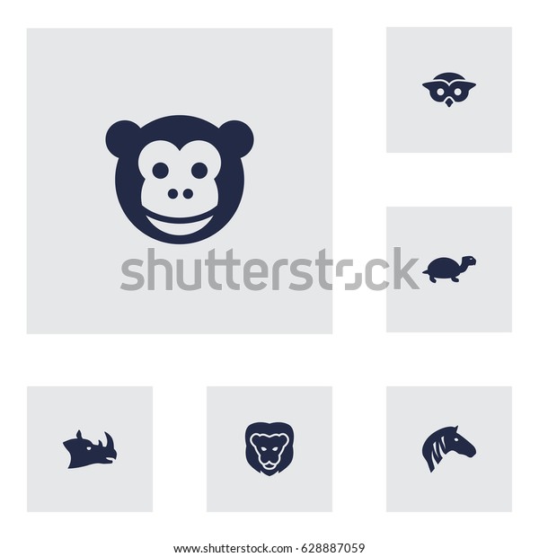 Set 6 Beast Icons Setcollection Ape Stock Vector (Royalty Free ...
