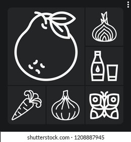 Set 6 Macro Outline Icons Such Stock Vector (Royalty Free) 1208887945 ...