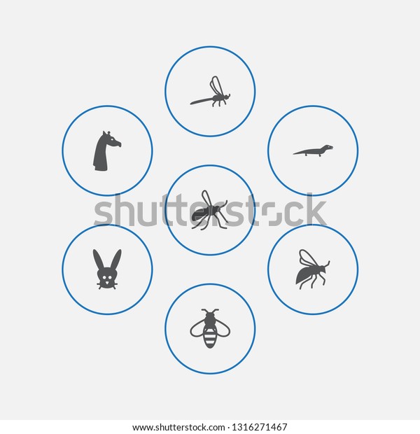 Set 7 Alive Icons Set Collection Stock Vector (Royalty Free) 1316271467