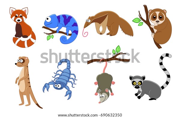 Set 8 Exotic Animals Cartoon Style Stock Vector (Royalty Free) 690632350