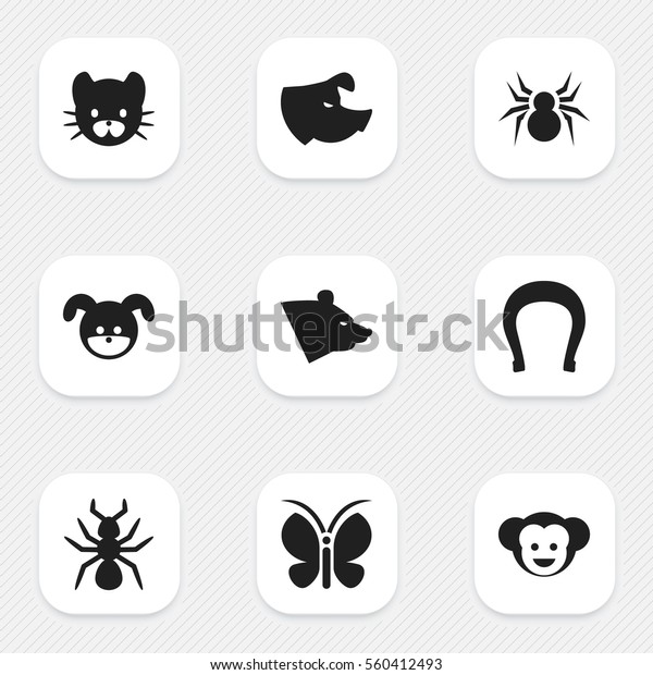 Set 9 Editable Zoology Icons Includes Stock Vector (Royalty Free ...