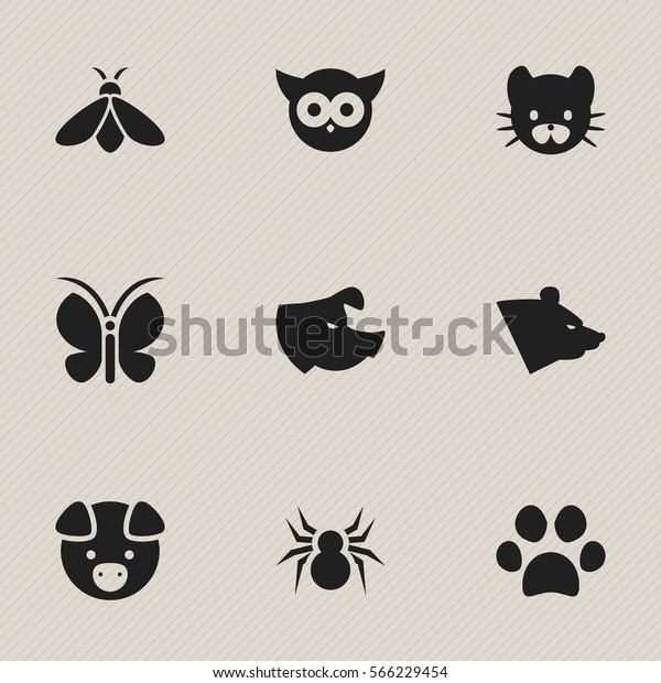 Set 9 Editable Zoology Icons Includes Stock Vector (Royalty Free) 566229454