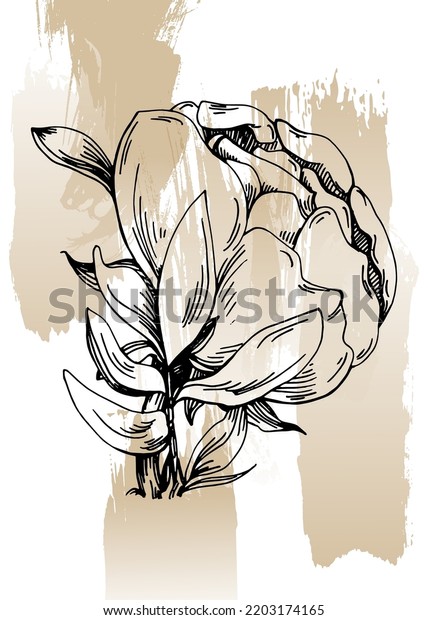 Set Abstract Peonies Hand Painted Illustrations Stock Vector (Royalty ...