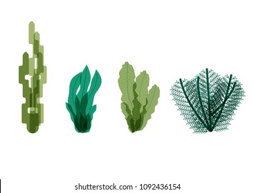 Algea Images, Stock Photos & Vectors | Shutterstock