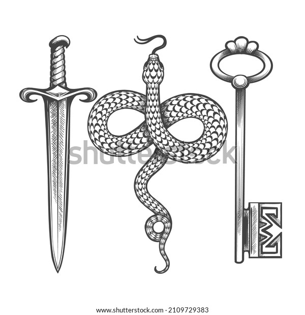 507 Snake on sword 图片、库存照片和矢量图 | Shutterstock