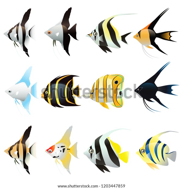 Set Angel Fish Cartoon Isolated On Stock Vector (Royalty Free ...