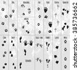 2,169 Mouse Footprints Royalty-Free Images, Stock Photos & Pictures ...