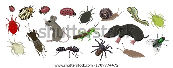Set Animal Pests Fields Gardens Mole Stock Vector (Royalty Free) 1789774472