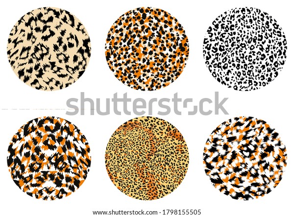 Set Animal Print Vector Patterns Vector Stock Vector (Royalty Free ...