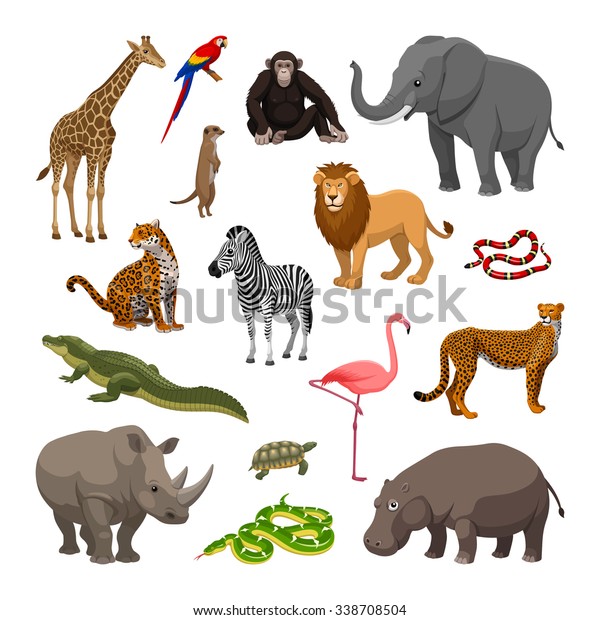 Conjunto de animales