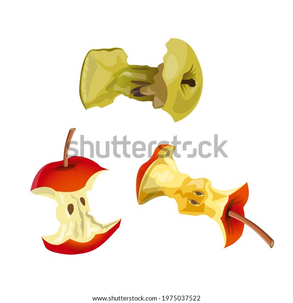 Set Apple Cores Vector Illustration Isolated Stock Vector (Royalty Free ...