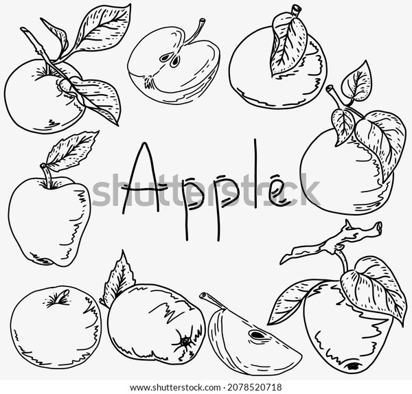 Set Apple Sketches Hand Drawing Print Stock Vector (Royalty Free ...