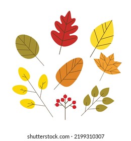 Set Autumn Leaves Lines Stock Vector (Royalty Free) 2199310307 ...