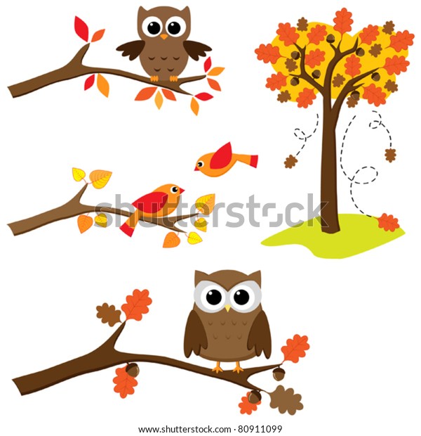 Set Autumn Nature Elements Owls Birds Stock Vector (Royalty Free) 80911099