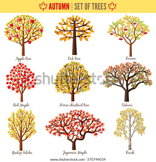 Set Autumn Trees On White Background Stock Vector (Royalty Free ...