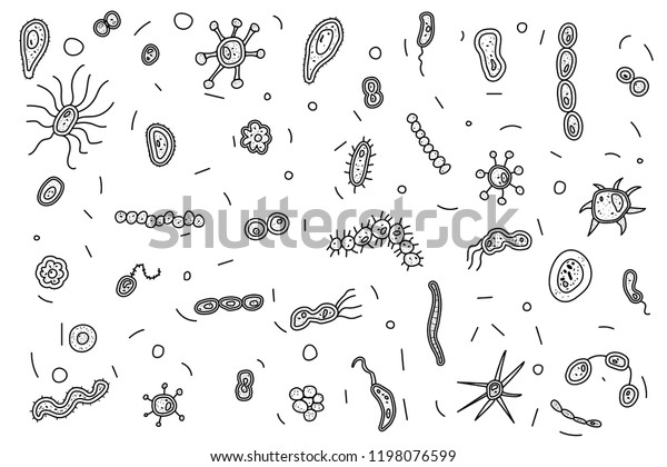 Set Bacteria Cells Microorganism Collection Sketch: เวกเตอร์สต็อก (ปลอด ...