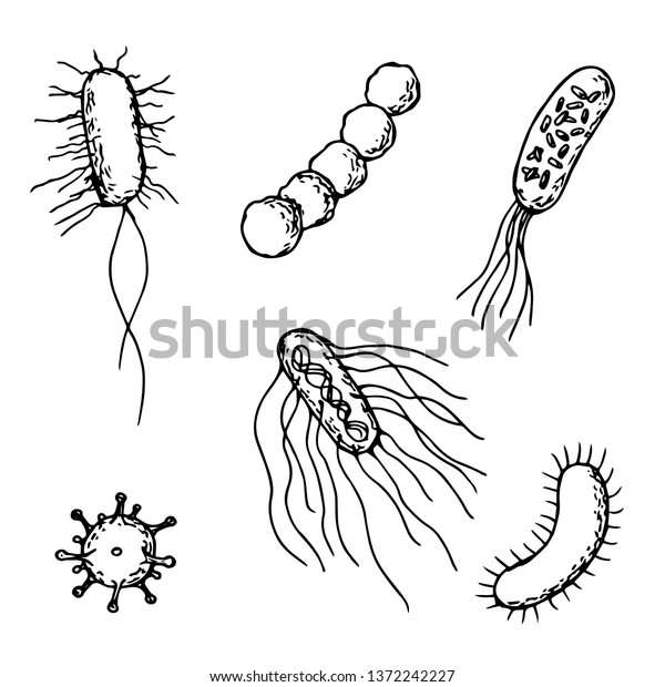 Vektor Stok Set Bacteria Vector Cartoon Doodles Isolated (Tanpa Royalti ...