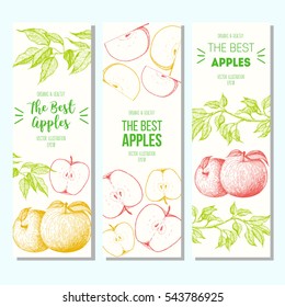 Set Banners Handdrawn Apples Vector Illustration: vector de stock ...