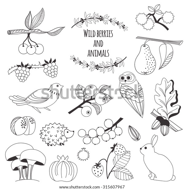 Set of berries, branches and animals. Wild berries and animals ...
