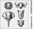 126,215 Big Five Animals Royalty-Free Images, Stock Photos & Pictures ...