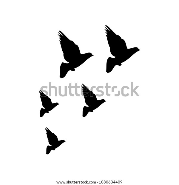 Set Birds Illustration Stock Vector (Royalty Free) 1080634409 ...