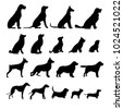 Dog Shadow Royalty-Free Images, Stock Photos & Pictures | Shutterstock