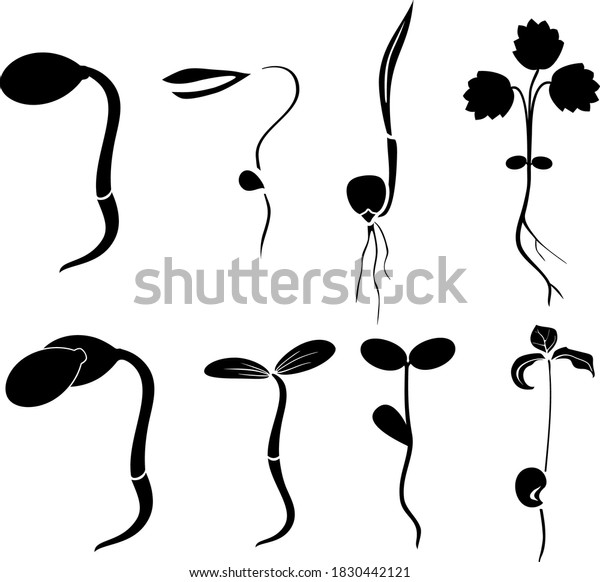 Set Black Silhouettes Different Plant Sprouts Stock Vector (Royalty ...