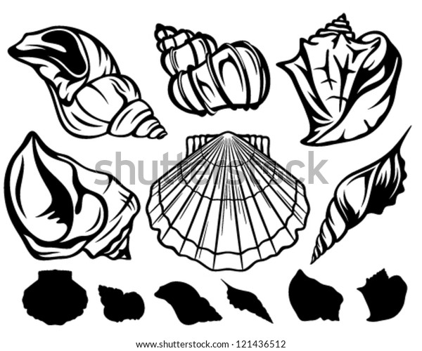 Set Black White Sea Shells Vector Stock Vector (Royalty Free) 121436512