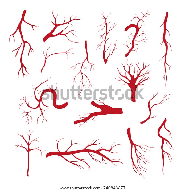 Set Blood Vessels Modern Vector Isolated Stock Vector (Royalty Free ...