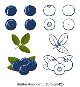 Set Blueberries Colorful Outline Vector Illustration Stock Vector ...