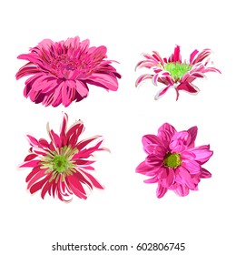 Set Bright Pink Hand Drawn Vector Stock Vector (Royalty Free) 602806745 ...