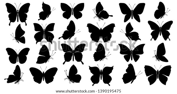 Set Butterflies Silhouettes On White Background Stock Vector Royalty