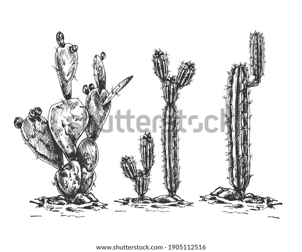 13,802 Desert Line Drawing Stock Vectors, Images & Vector Art ...
