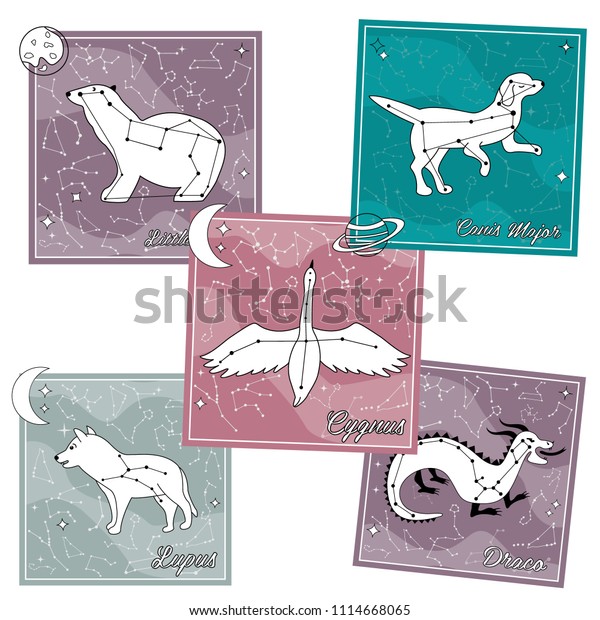 Set Cards Constellations Little Dipper Cygnus Stock Vector (Royalty ...
